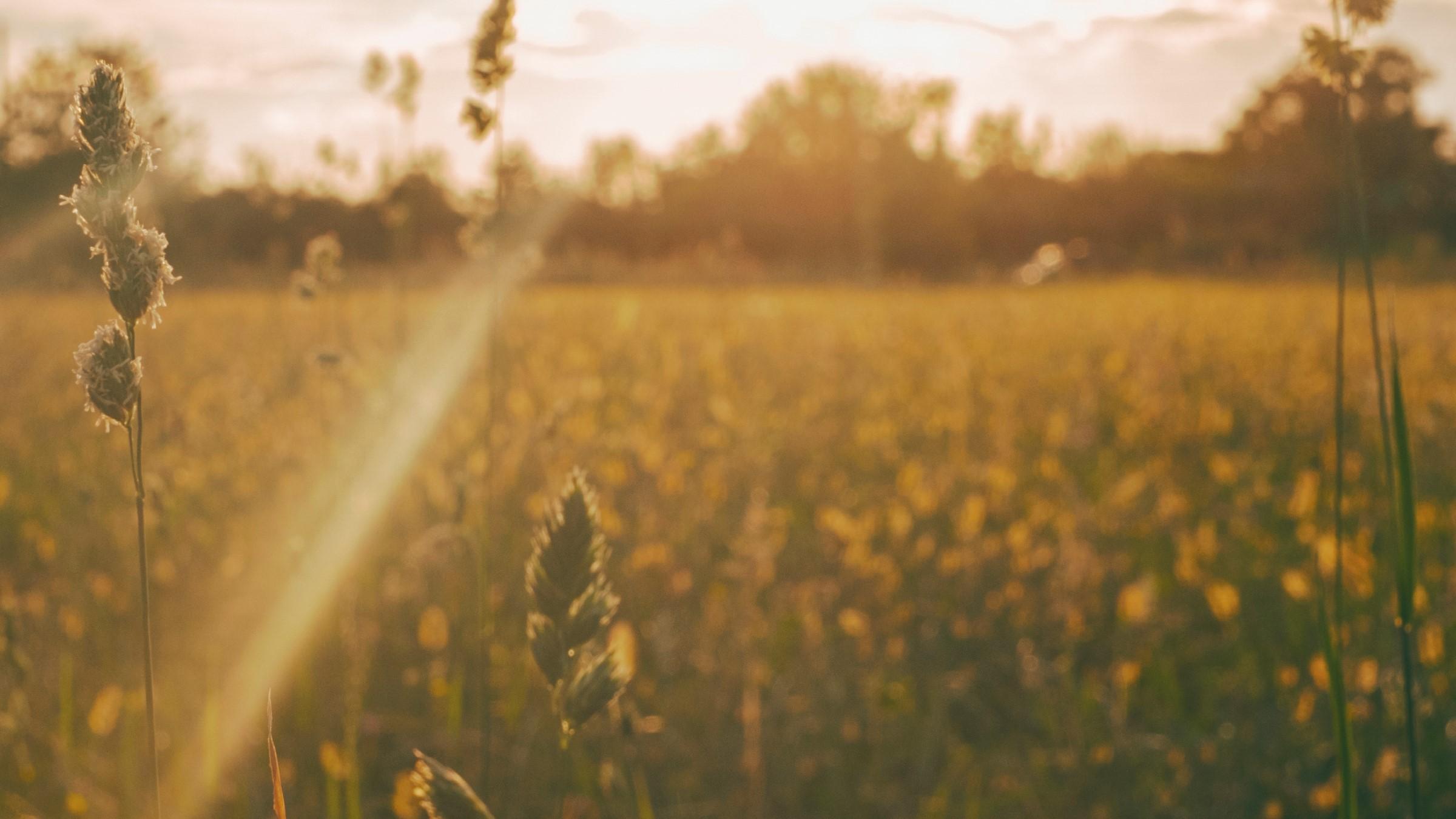 WCB’s 2025 Compensation Institute focuses on practical insights for ...